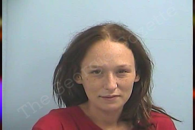 Katie Fouts — Dawson County Jail Bookings