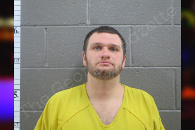 Corey Goodson — Banks County Jail Bookings