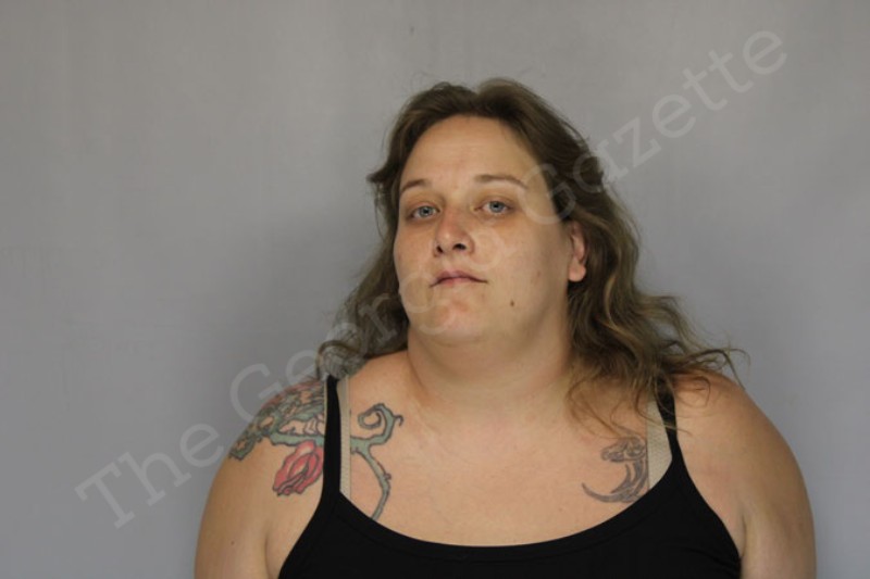 Renee Gosnell | Hall County