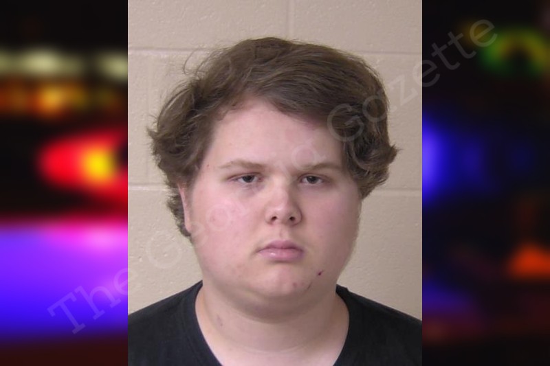 Nicholas Goodgame — Walker County Jail Bookings