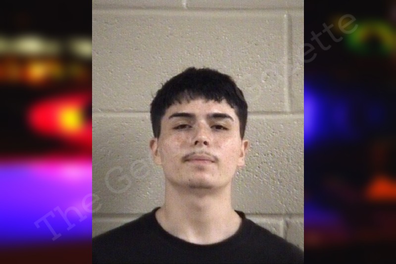 Brandon Guzman — Whitfield County Jail Bookings