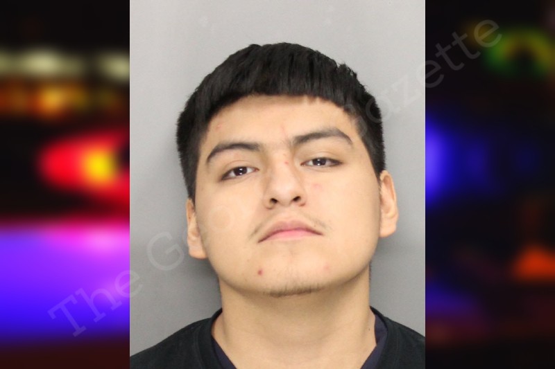 Emmanuel Hernandez — Cobb County Jail Bookings