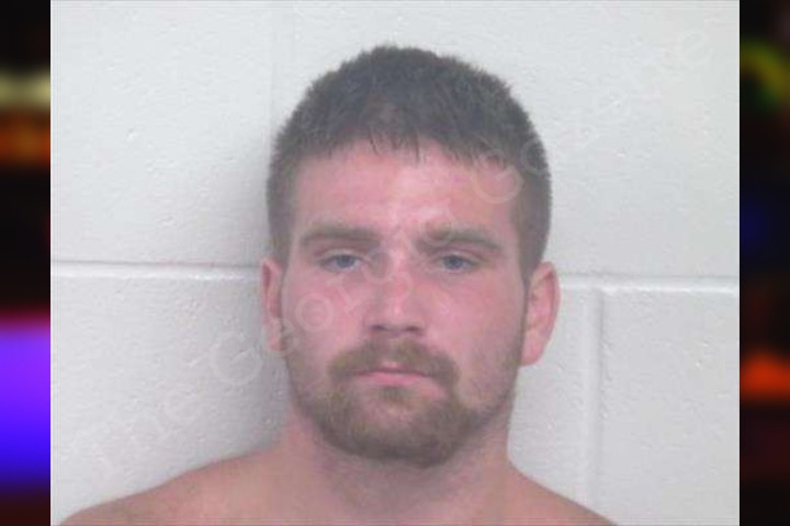 Dalton Hilliard — Washington County Jail Bookings