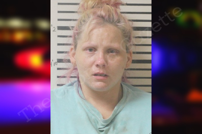 Patricia Hulett — Toombs County Jail Bookings