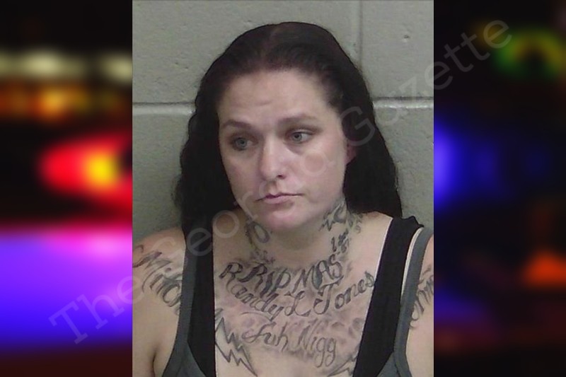 Natalie Hardison — Wayne County Jail Bookings