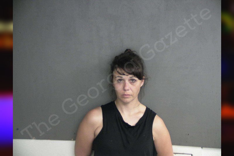 Rachel Heath — Twiggs County Jail Bookings