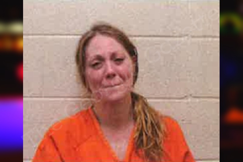 Judith Hendricks — Pickens County Jail Bookings
