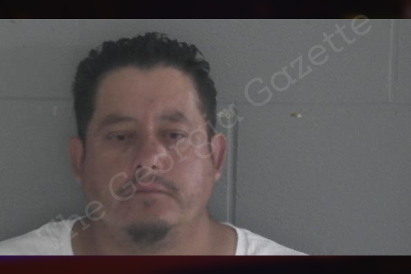 Israel Hernandez-Bernabe — Brantley County Jail Bookings