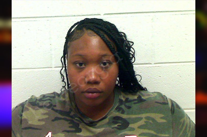 Jasmine Herrington — Bulloch County Jail Bookings