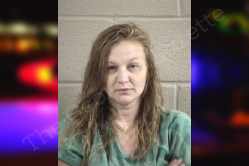 Amber Hester — Whitfield County Jail Bookings
