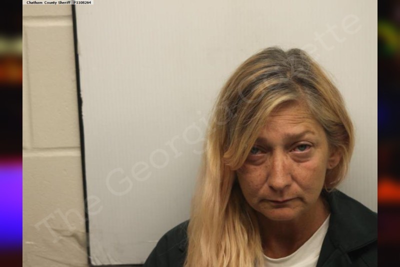 Michelle Hudson — Chatham County Jail Bookings