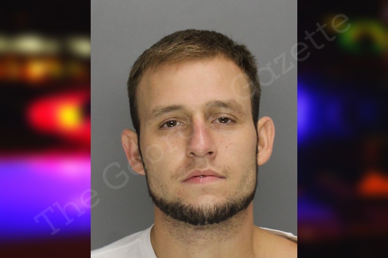 Luke Intile — Cobb County Jail Bookings