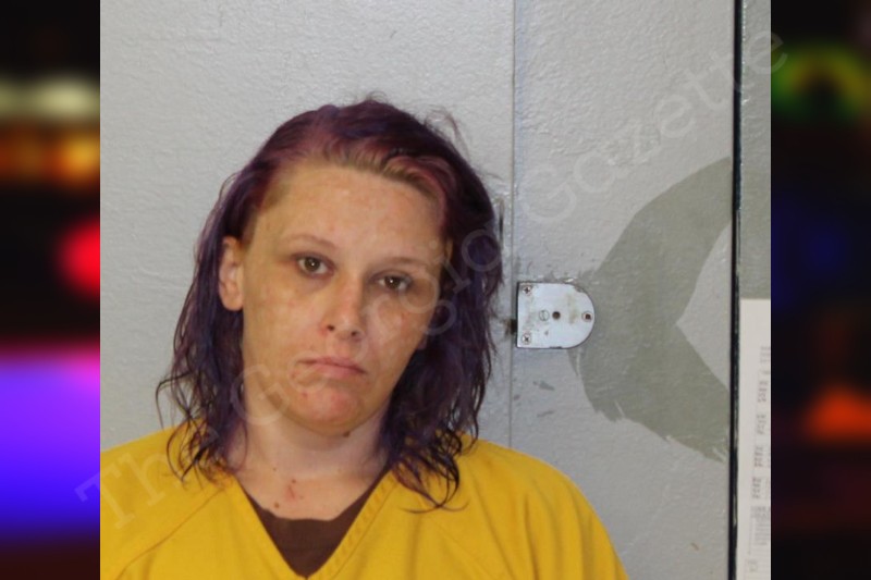 Destiny Thorpe — McIntosh County Jail Bookings