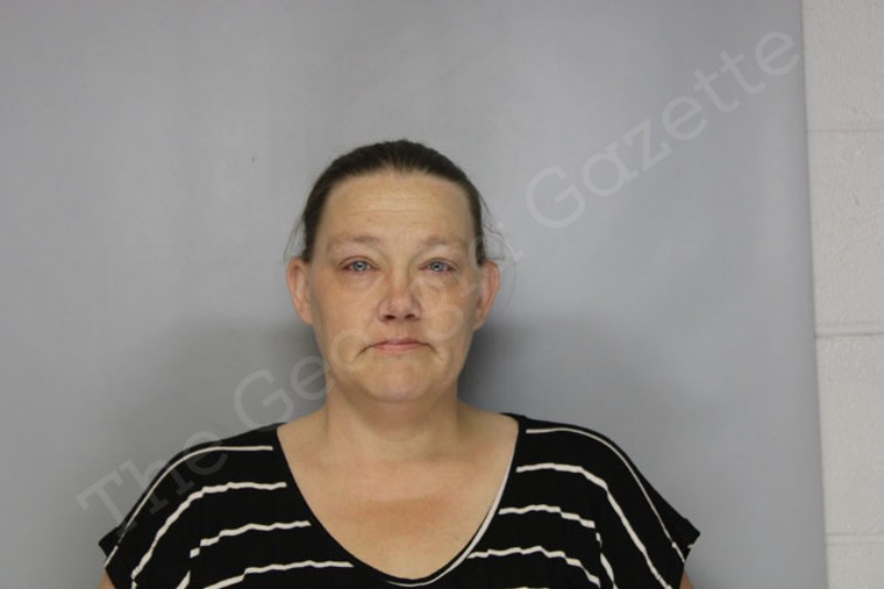 Michelle Johnston — Hall County Jail Bookings