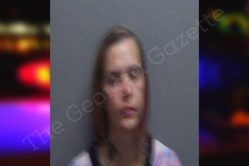Amber Johnson — Charlton County Jail Bookings
