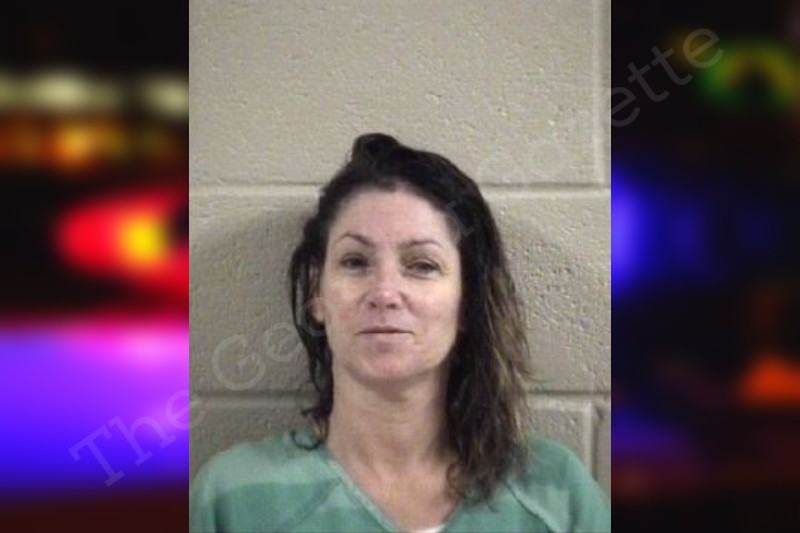 Megan King — Whitfield County