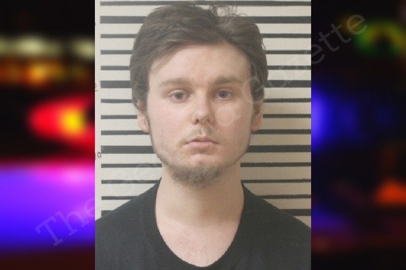 William Leach — Toombs County Jail Bookings