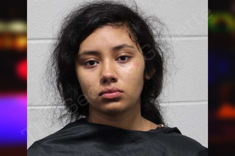 Emily Lopez — Habersham County Jail Bookings