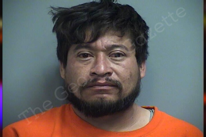 Alejandro Laparra — Effingham County Jail Bookings