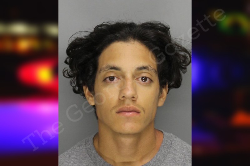 David Mathes — Cobb County Jail Bookings