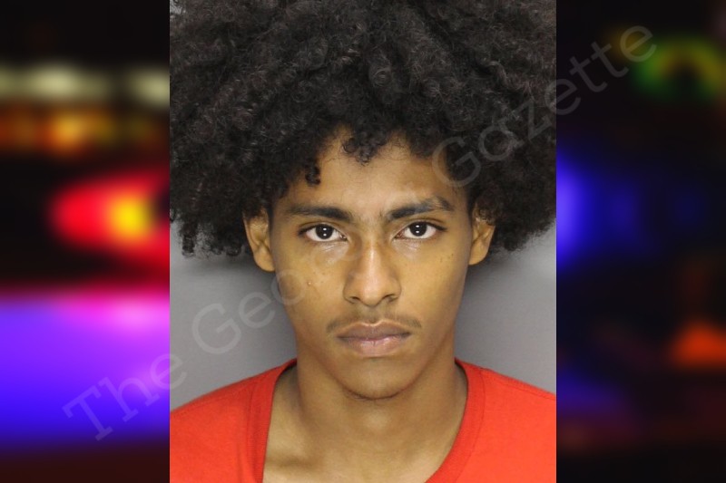 Destiny Mboe — Cobb County Jail Bookings
