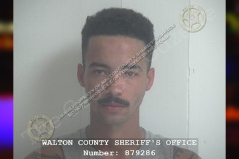 Andrew Moore — Walton County Jail Bookings