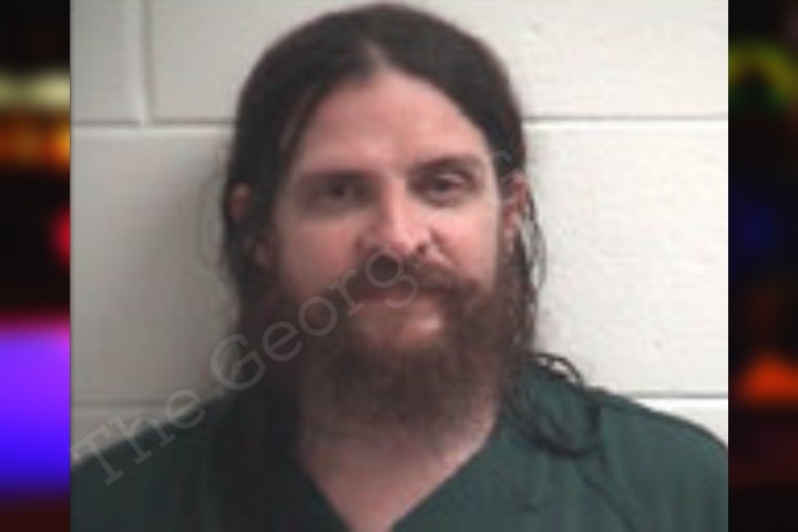 Jeremy Morgan | Henry County Jail Bookings