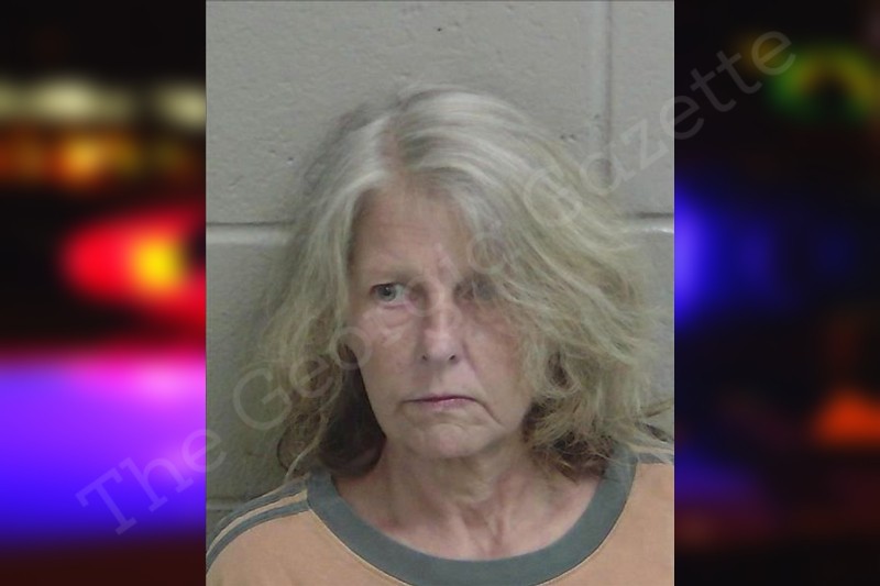 Gerri Mauldin — Wayne County Jail Bookings