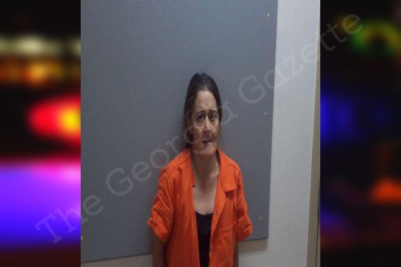 Wendy McClanathan — Charlton County Jail Bookings
