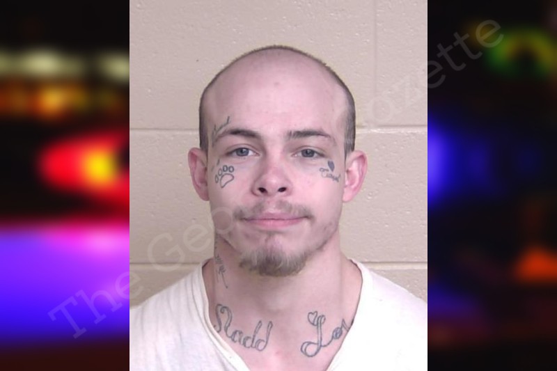 Jacob McFalls — Walker County Jail Bookings