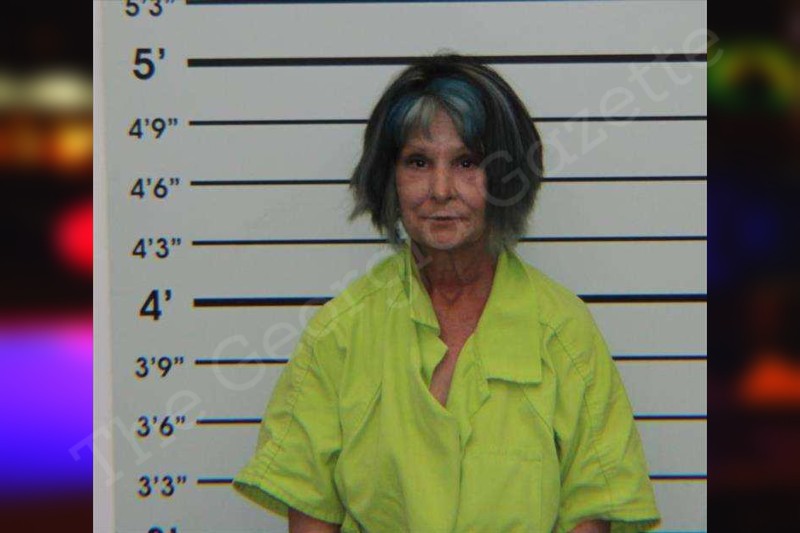 Angela McKay — Turner County Jail Bookings