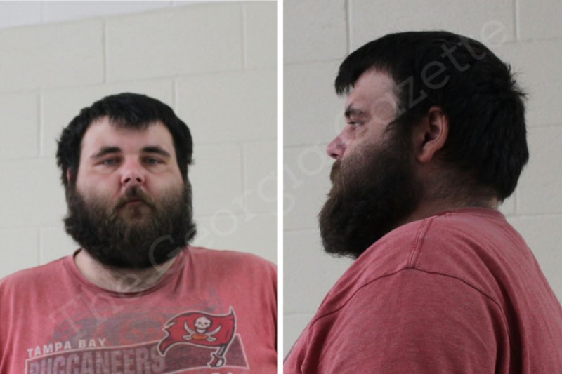 Brandon McLain — Houston County Jail Bookings