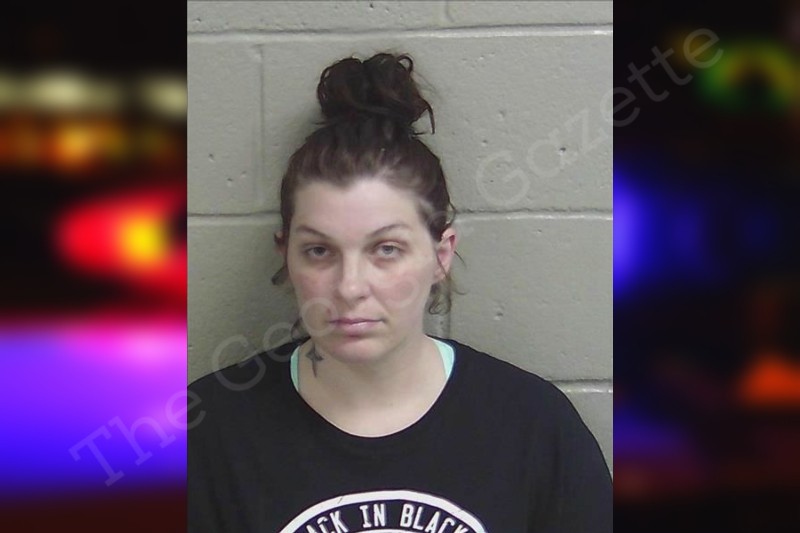Courtney Messer-Sellers — Wayne County Jail Bookings