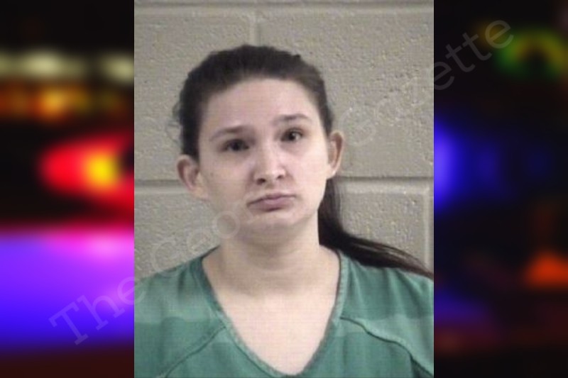 Cheyenne Mills — Whitfield County Jail Bookings
