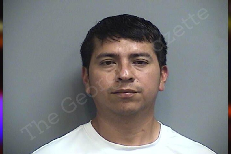 Jacobo Montiel — Effingham County Jail Bookings