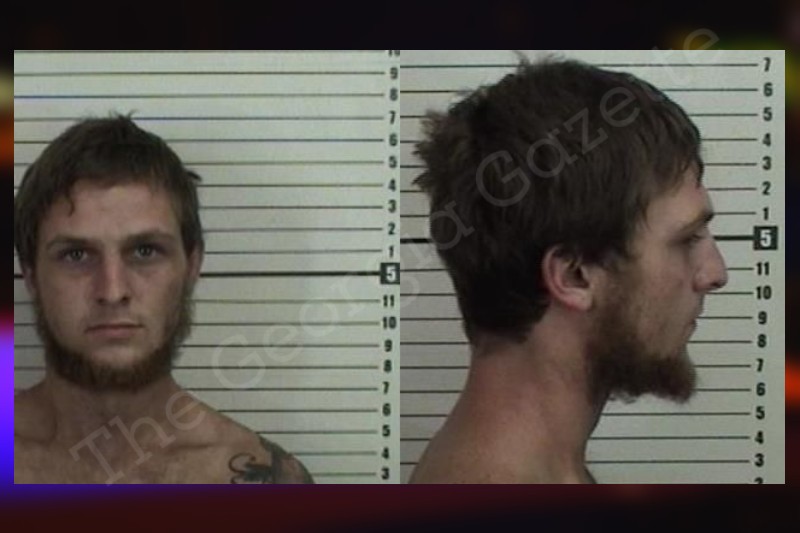 Brandon Morgan — Camden County Jail Bookings