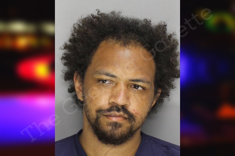 Christopher Nelson — Cobb County Jail Bookings
