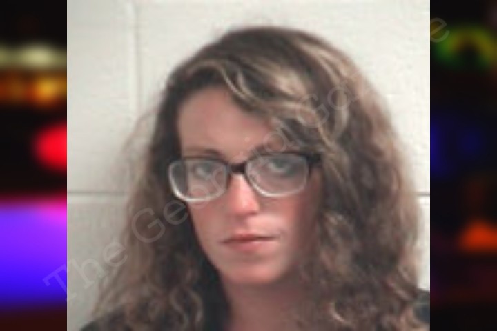 Brooke Norris — Henry County Jail Bookings
