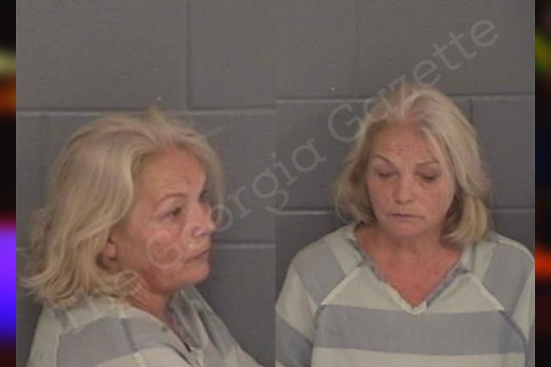 Tammy Orr — Barrow County Jail Bookings