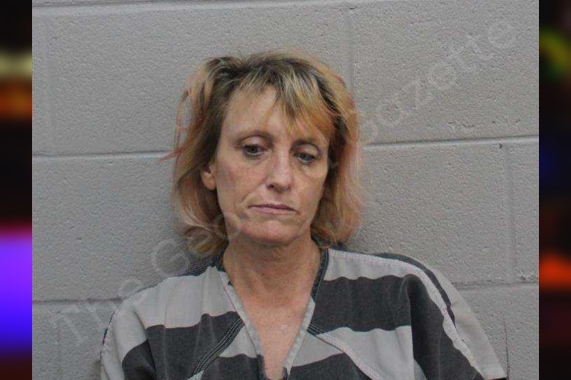 Lori Patterson — Harris County Jail Bookings