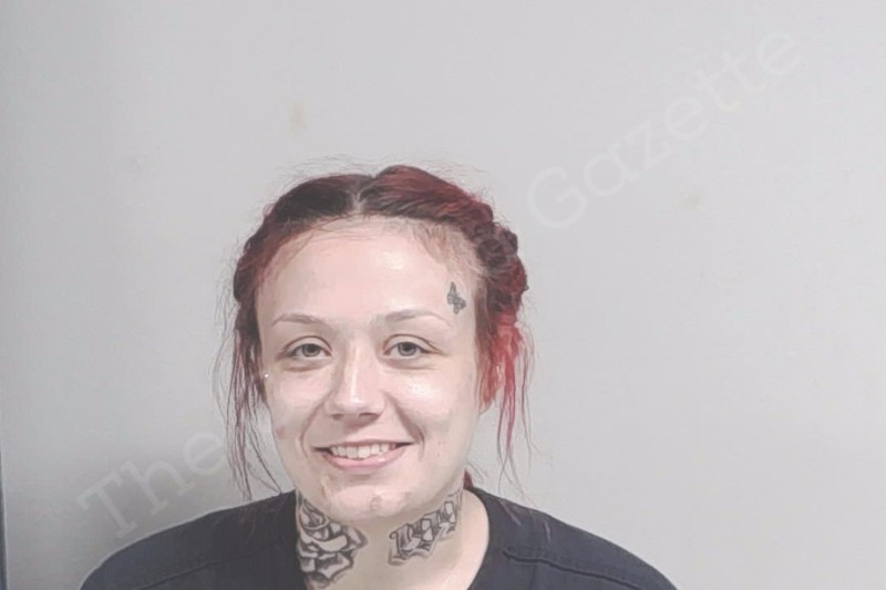Alexis Payne — Lowndes County Jail Bookings