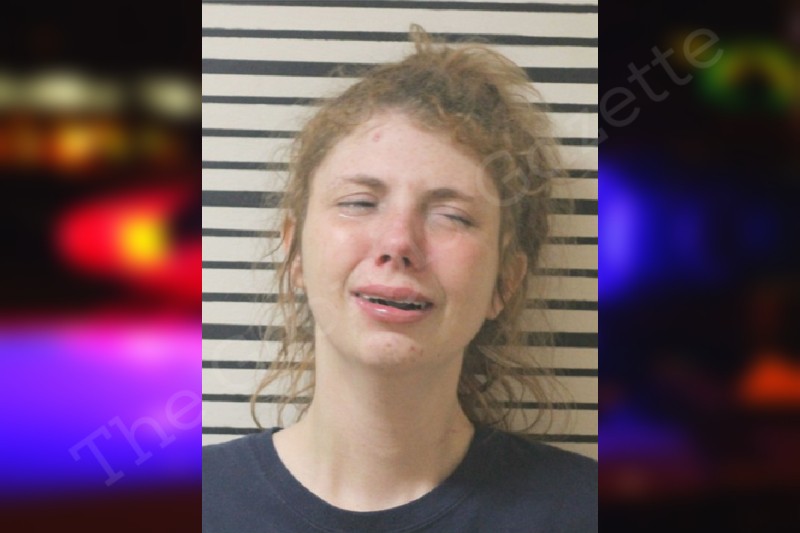 Kali Purvis — Toombs County Jail Bookings