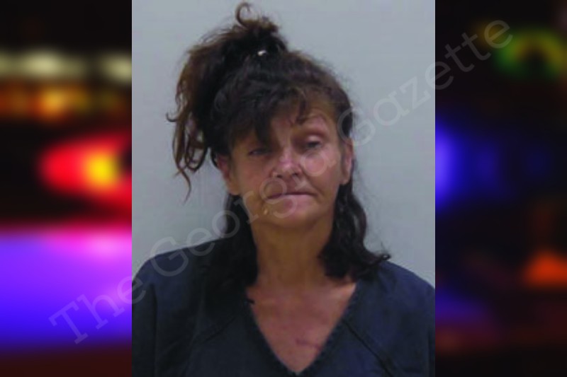 Kimberly Pollard — Bartow County Jail Bookings