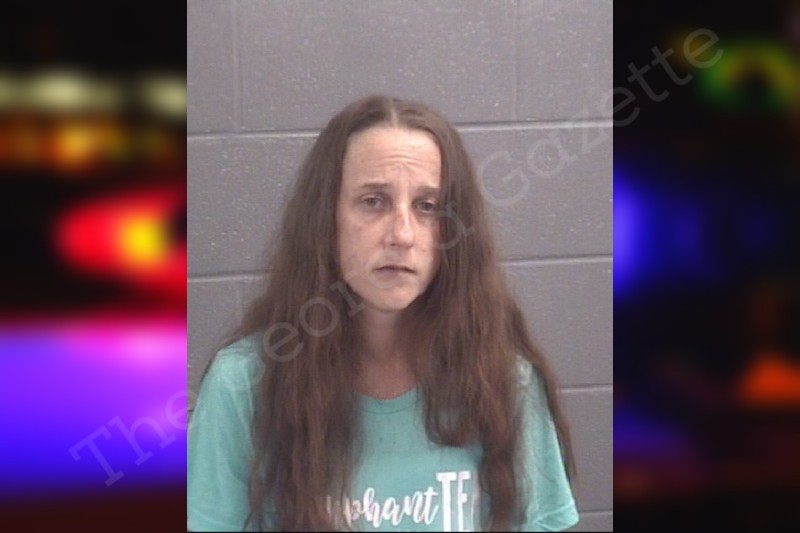 Jaimie Pool — Spalding County Jail Bookings