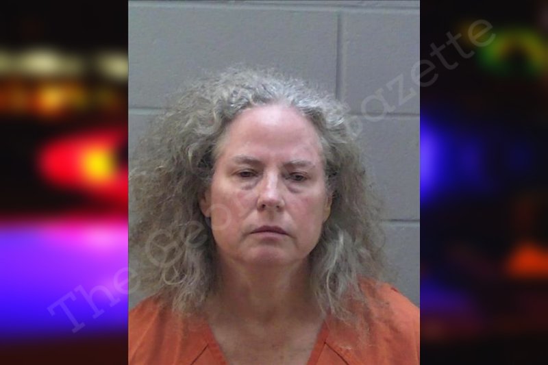 Jennifer Power — Madison County Jail Bookings