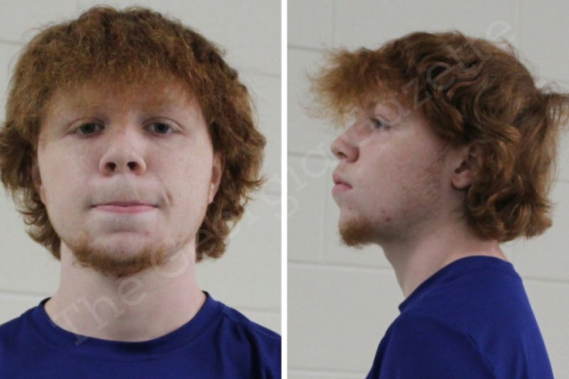 Matthew Purvis — Houston County Jail Bookings