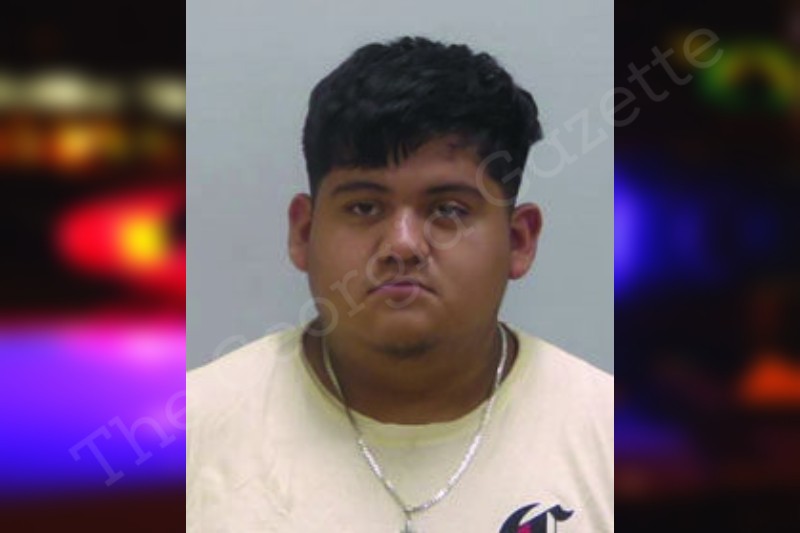 Adan Ramirez — Bartow County Jail Bookings