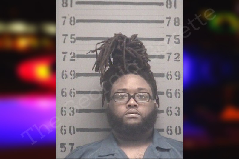 Kelsey Rayner | Dougherty County