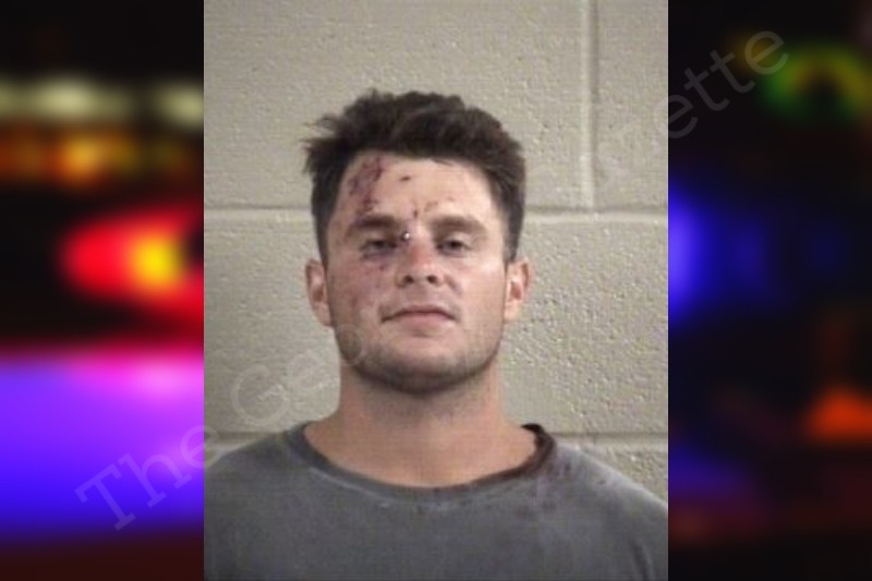 Sydney Reece — Whitfield County Jail Bookings