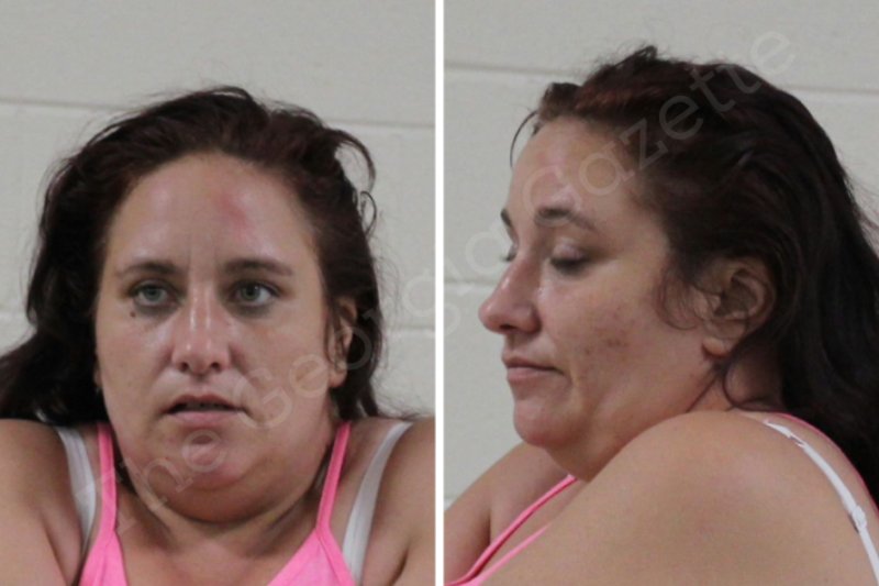 Amanda Risk — Houston County Jail Bookings